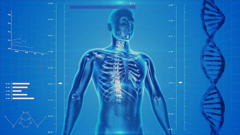 La Capital | Completar Estudio Del Proteoma Humano Contribuira A La ...