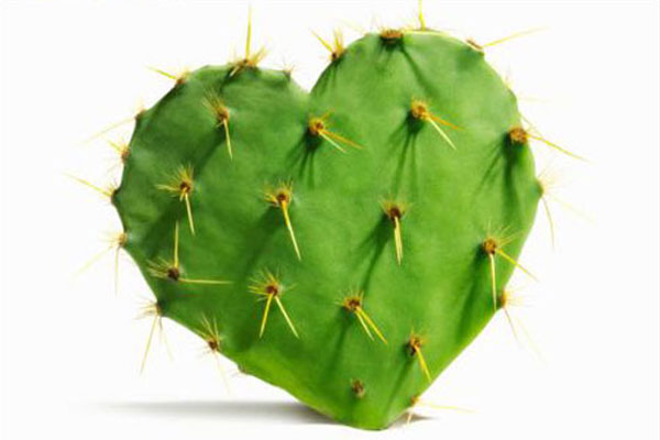 La Capital | Nopal Para Diabeticos