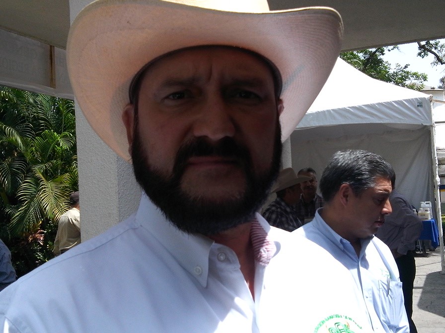 La Capital | Compra Venta De Becerros Ya No Es Negocio Redituable Ganaderos