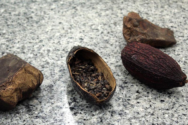 La Capital | Conserva Modica Sicilia La Tradicion Del Chocolate Azteca