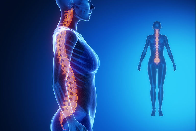 La Capital | Higiene De La Columna Deberia Ser Cuestion De Educacion