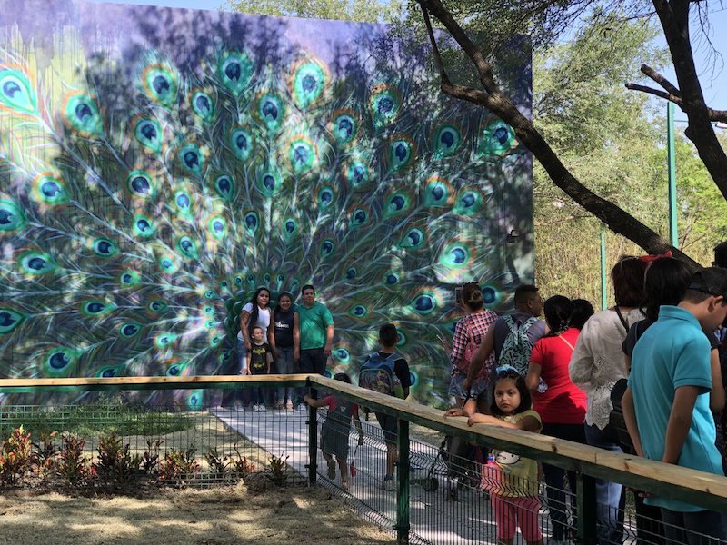 La Capital | Disfrutan Regiomontanos Reapertura Del Parque Zoologico La ...